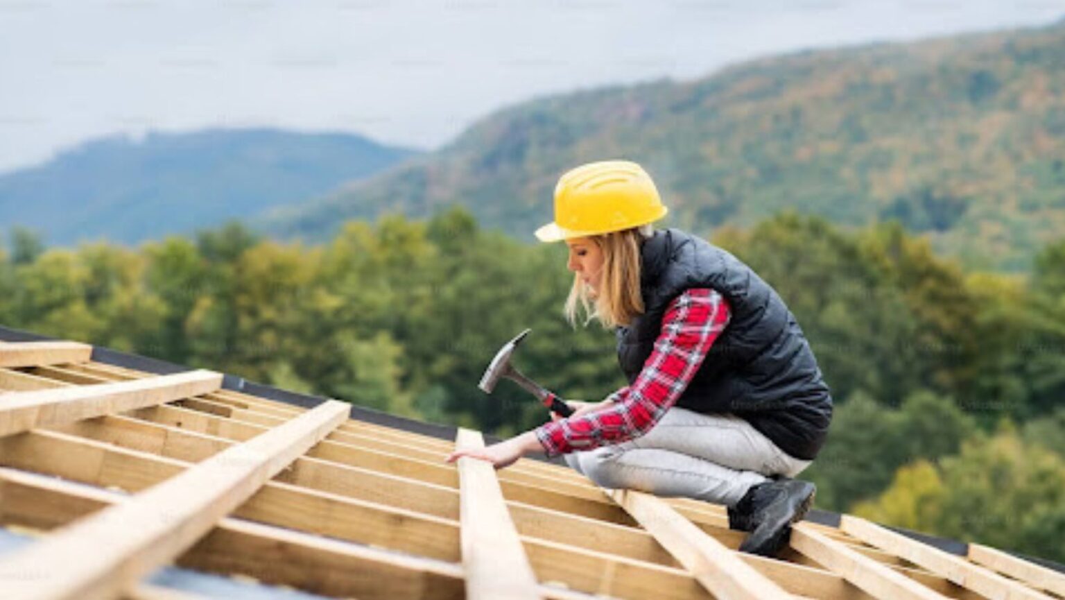 DIY or Pro Contractor: Which Is Better for Minor Roof Repairs?
