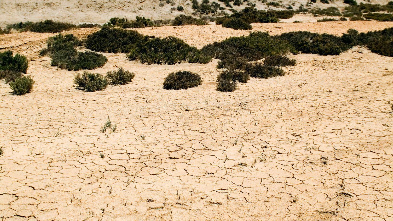 Designing Sustainable Landscapes in Hot and Dry Climates - Agendacoverlife